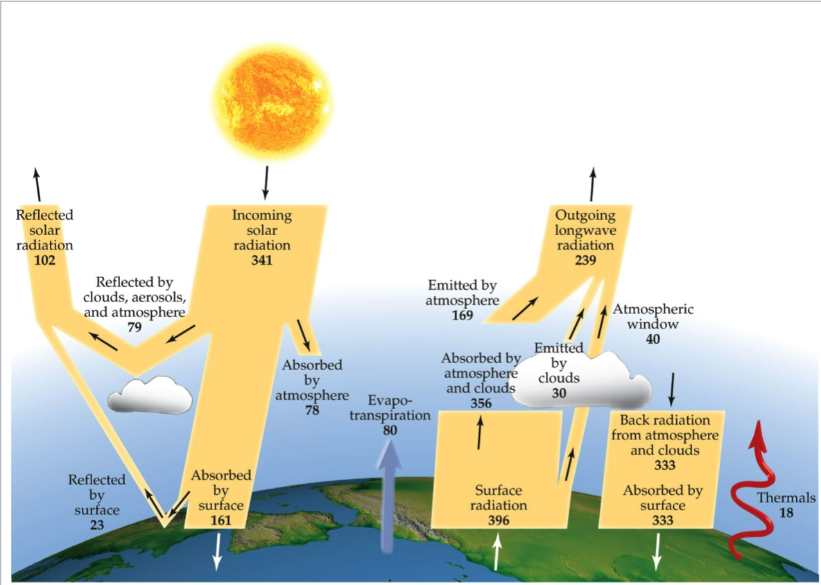 Solved What percentage of the total radiation absorbed by | Chegg.com