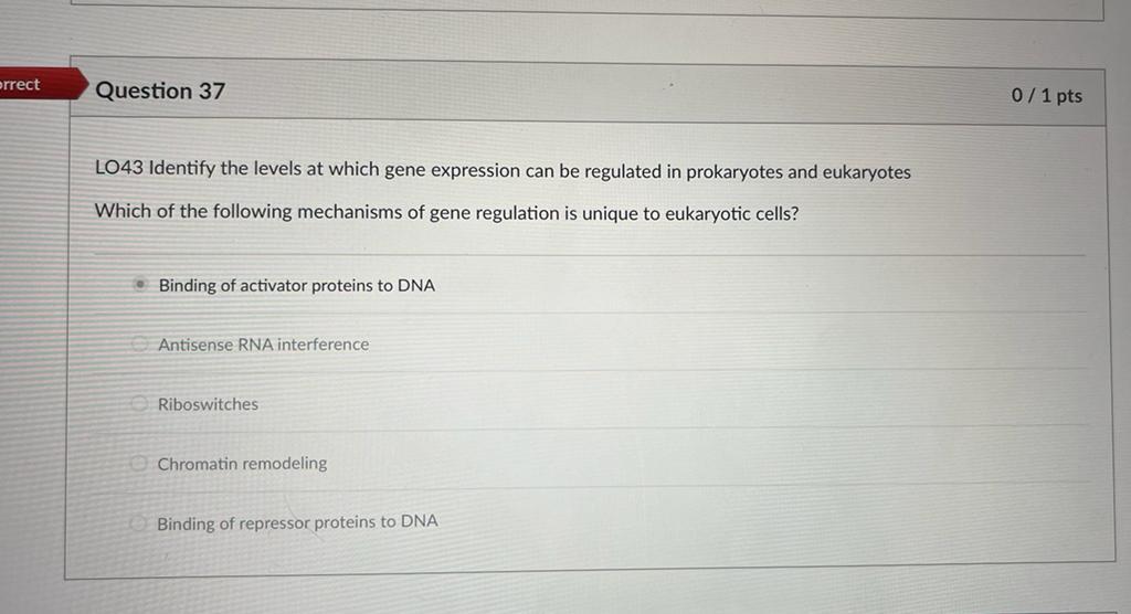 LO38 Explain the function of UTRS in the mRNA | Chegg.com
