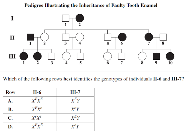 Solved Pedigree Illustrating the Inheritance of Faulty Tooth | Chegg.com
