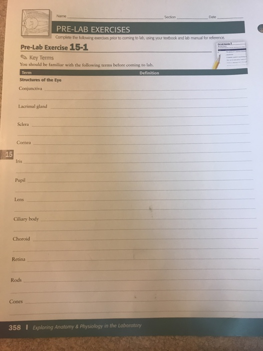 Solved Name Date Pre Lab Exercises Complete The Folowing