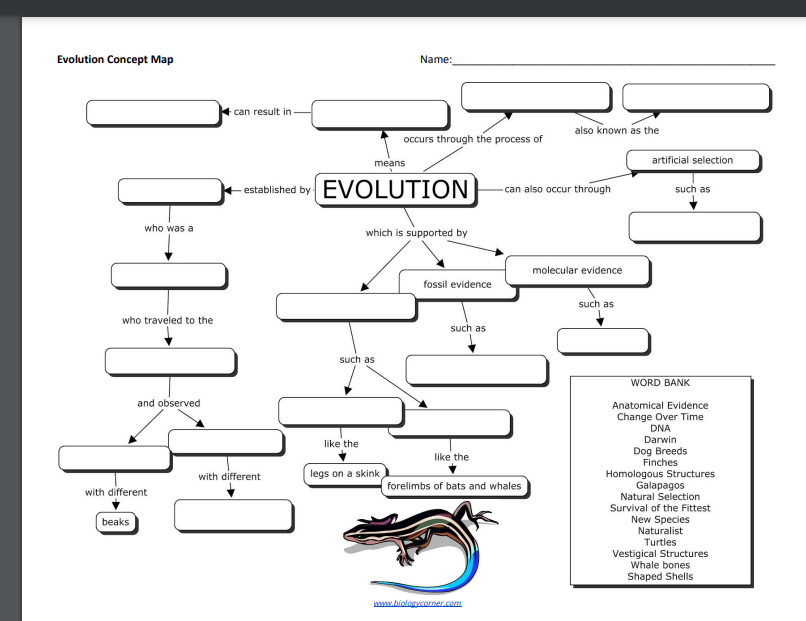 Solved Evolution Concept Map Name: wwwhbiologecarnar cout | Chegg.com