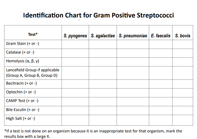 Solved Identification Chart for Gram Positive Streptococci | Chegg.com