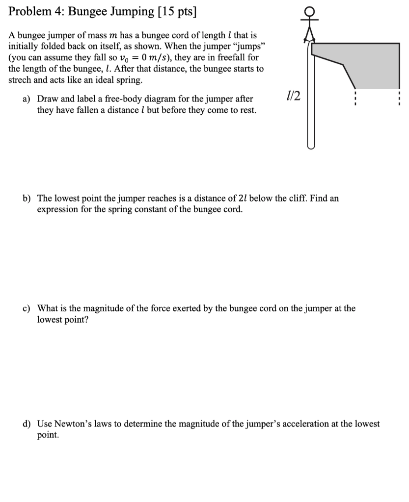 Solved Problem 4: Bungee Jumping [15 pts] A bungee jumper of | Chegg.com
