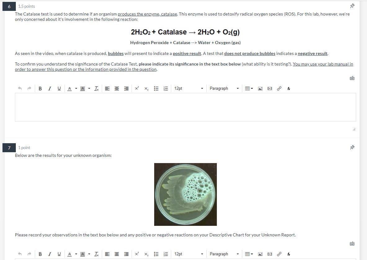 Solved A. This is with the Catalase test please help me to | Chegg.com