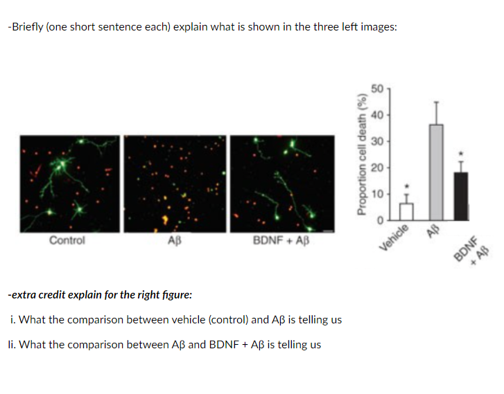Solved -Briefly (one short sentence each) explain what is | Chegg.com