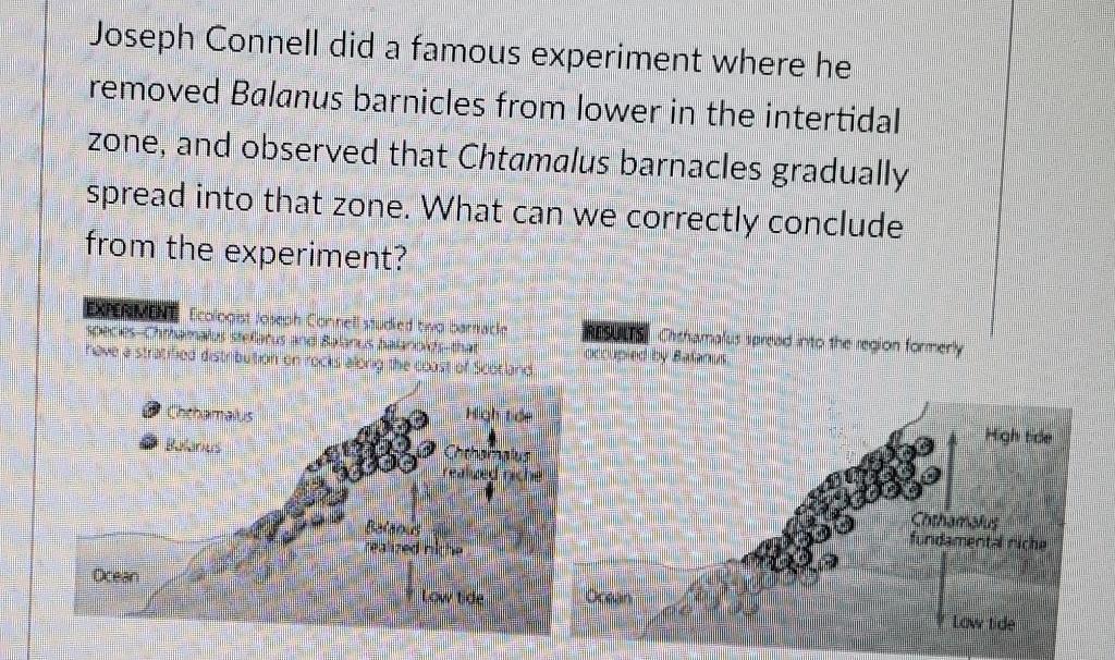 Solved Joseph Connell did a famous experiment where he | Chegg.com