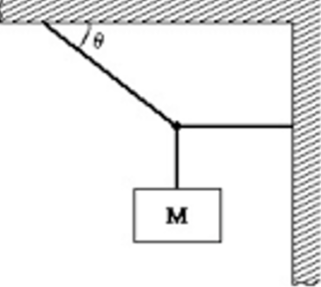 Solved In the figure, a block of mass M hangs in | Chegg.com