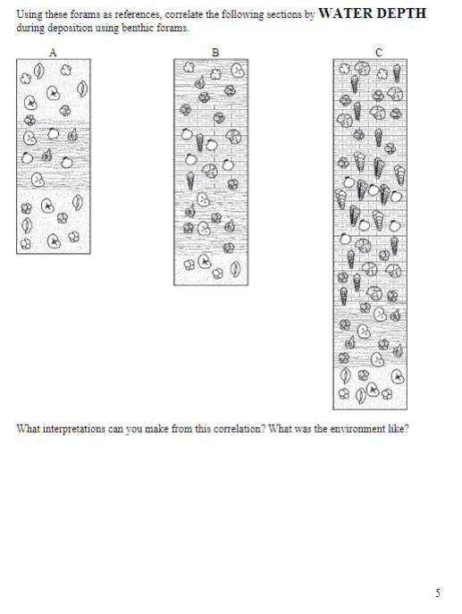Solved Using these forams as references, correlate the | Chegg.com
