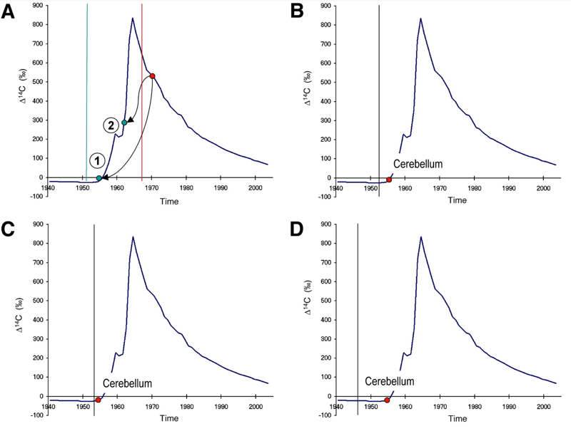 For each cell type, locate the relevant graphs. Each | Chegg.com