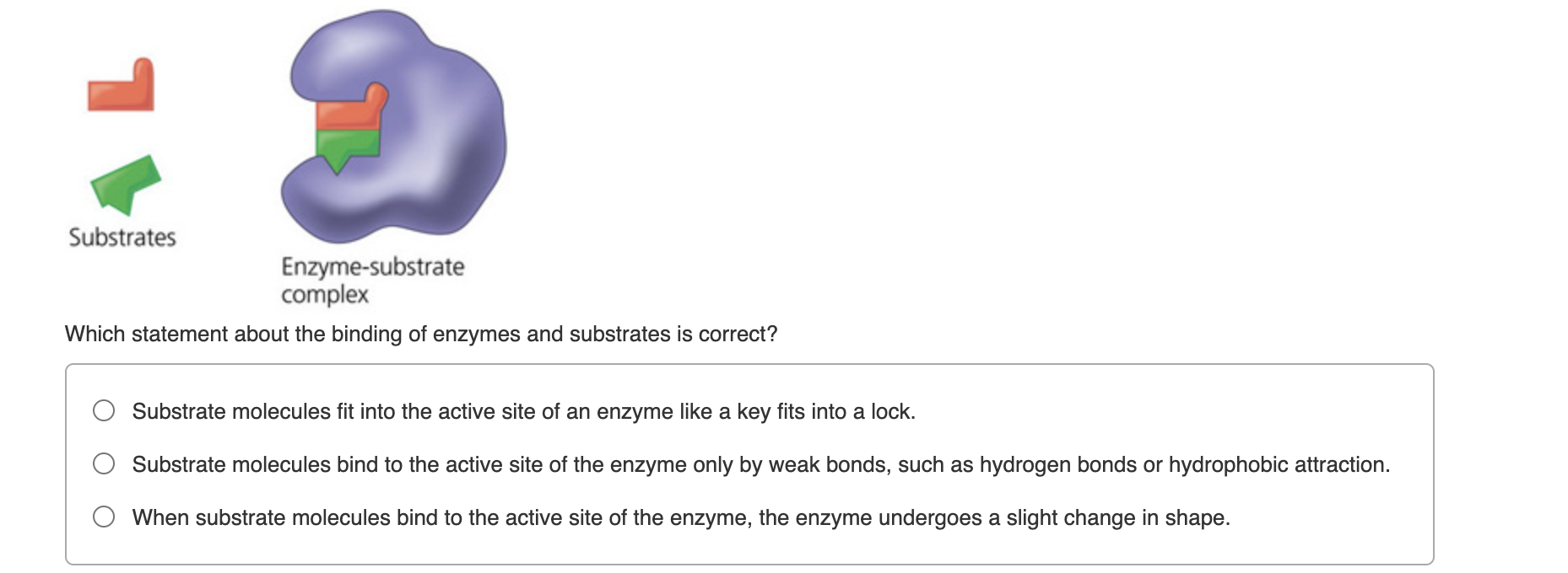 Solved Substrates Enzyme Substrate Complex Which Statement