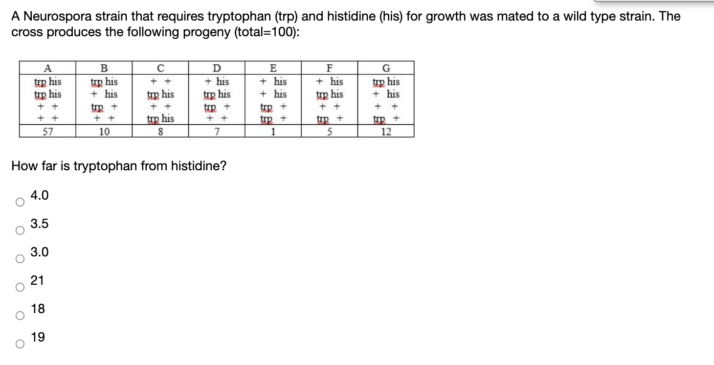 Solved A Neurospora strain that requires tryptophan (trp) | Chegg.com