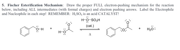 Solved Fischer Esterification Mechanism: Draw the proper | Chegg.com
