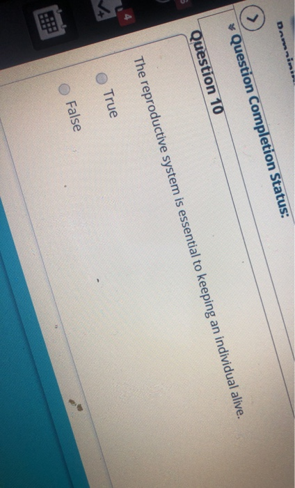 Solved -y Question Completion Status: uestion The | Chegg.com