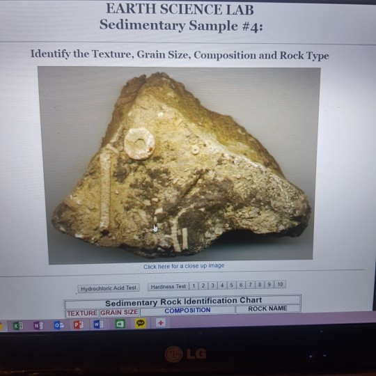 Solved EARTH SCIENCE LAB Sedimentary Sample #1: Identify the | Chegg.com