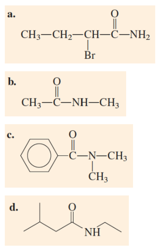 Solved a. CH3-CH2-CH-C-NH2 | Br b. au-l- NH-CH, O&xch 0 1 | Chegg.com