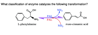 Solved What classification of enzyme catalyzes the following | Chegg.com