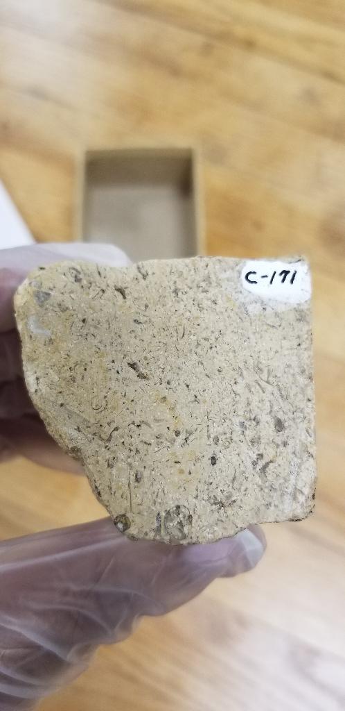 Solved 1)Classify the rock based on dunham and folk | Chegg.com