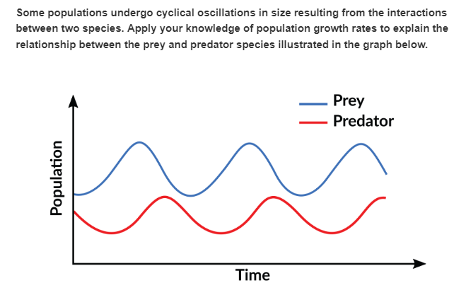 Solved Some populations undergo cyclical oscillations in | Chegg.com