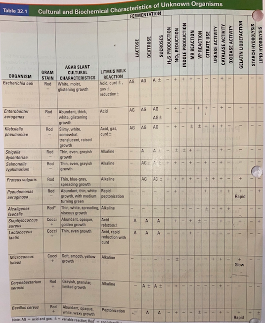 Step 1: You created a 4 way streak results: You have | Chegg.com