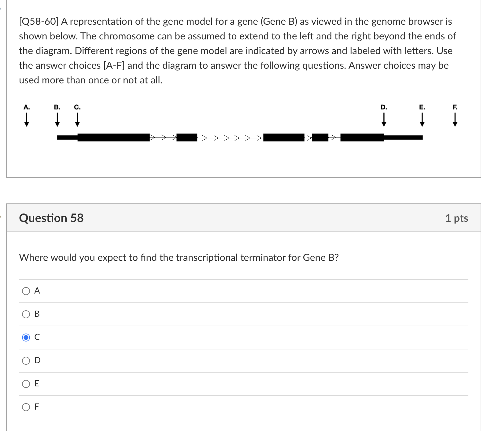 Solved [Q58-60] A representation of the gene model for a | Chegg.com