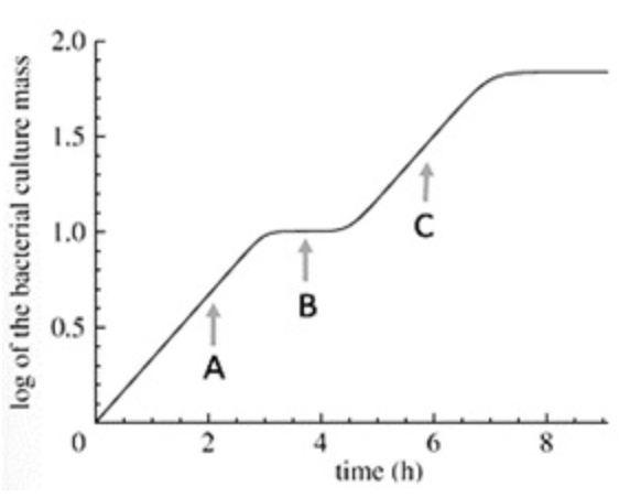 Solved The graph below illustrates the diauxic growth | Chegg.com