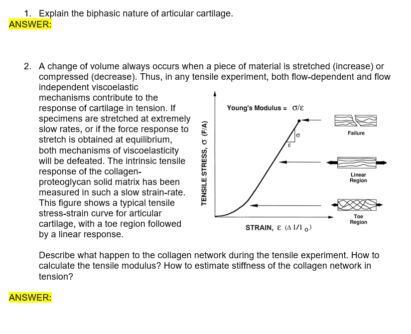 Solved 1. Explain the biphasic nature of articular | Chegg.com