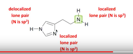 Solved Why is the delocalized Nitrogen sp2 when it is | Chegg.com