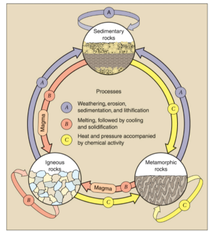 Solved Question: Study the diagram (Fig. 4-18 of your | Chegg.com