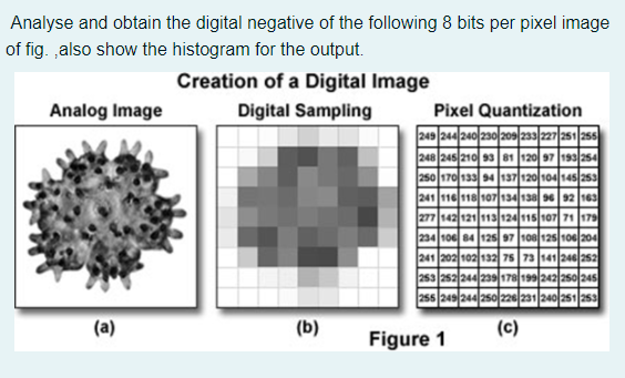 Solved Analyse and obtain the digital negative of the | Chegg.com