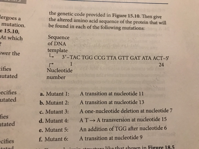 Solved rise to er 20.The following nucleotide sequence is | Chegg.com