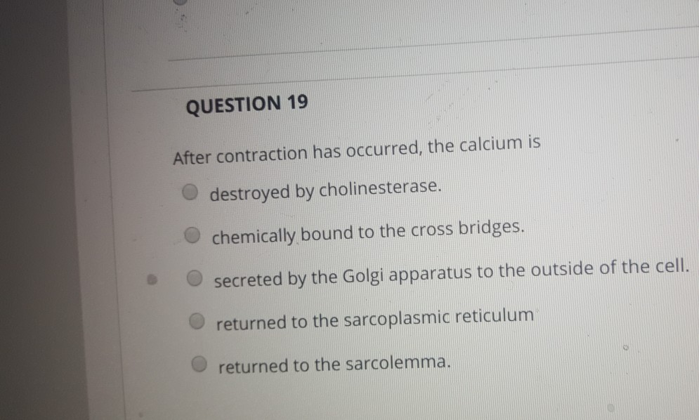 Solved QUESTION 6 The active sites to which cross-bridges | Chegg.com