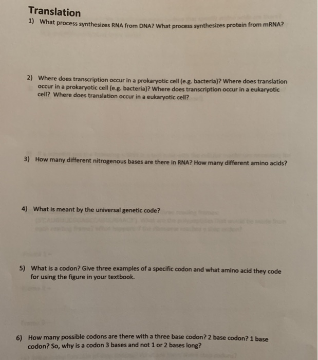 Solved Translation 1) What process synthesizes RNA from DNA? | Chegg.com