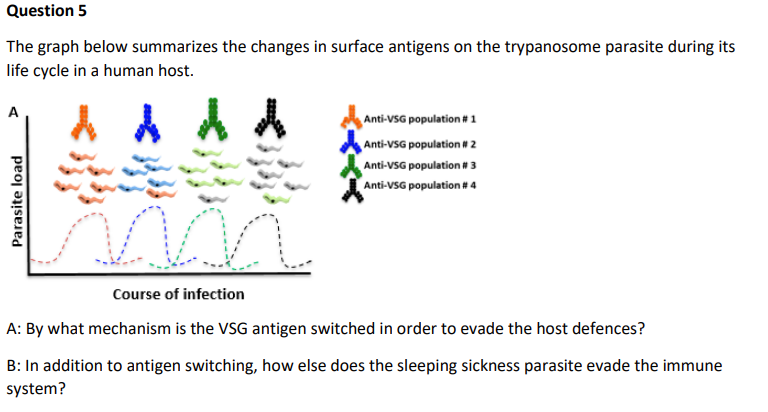 Solved Question 5 The graph below summarizes the changes in | Chegg.com
