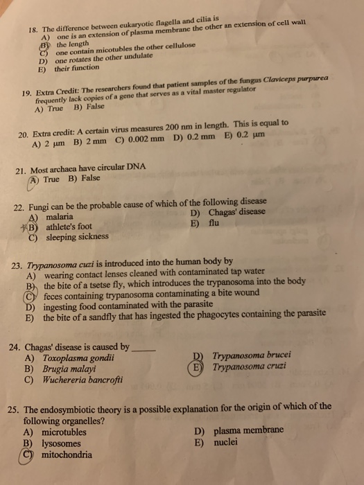 Solved e difference between eukaryotic flagella and cilia is | Chegg.com