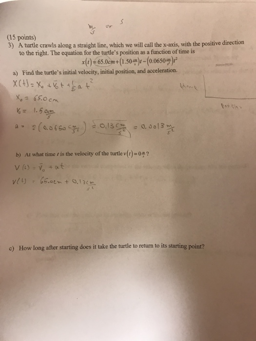 Solved A turtle crawls along a straight line, which we will | Chegg.com