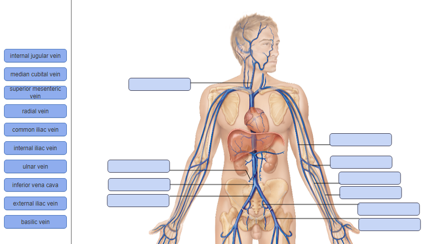 Solved PART 1-PART 2- | Chegg.com