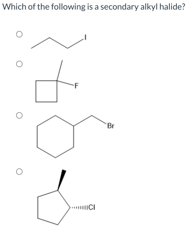 Solved Which of the following is a secondary alkyl halide? | Chegg.com