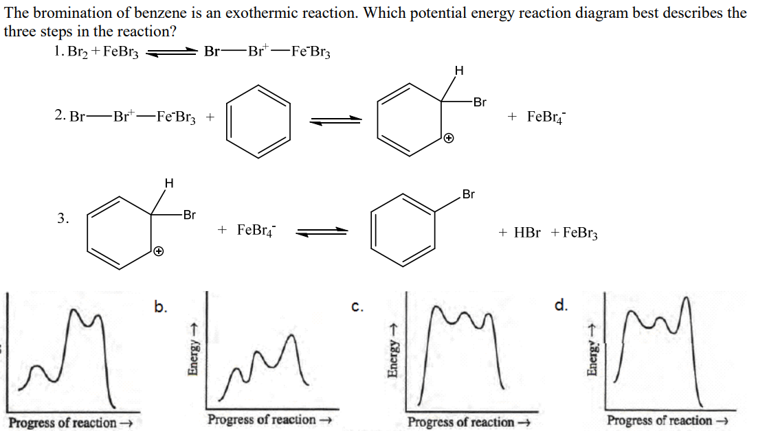 Solved The bromination of benzene is an exothermic reaction. | Chegg.com