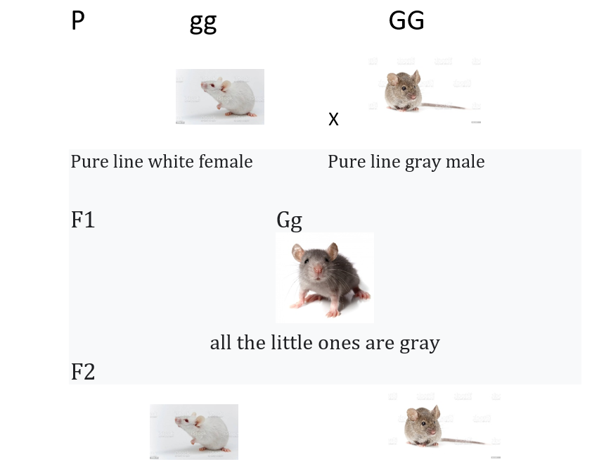 Solved Hello, I have a problem of BIO, can you help me and | Chegg.com