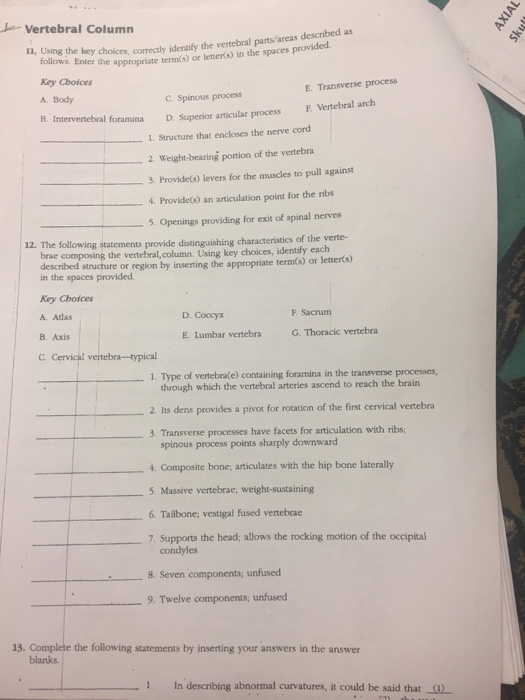 Solved Using the hey choice, correctly identify the | Chegg.com