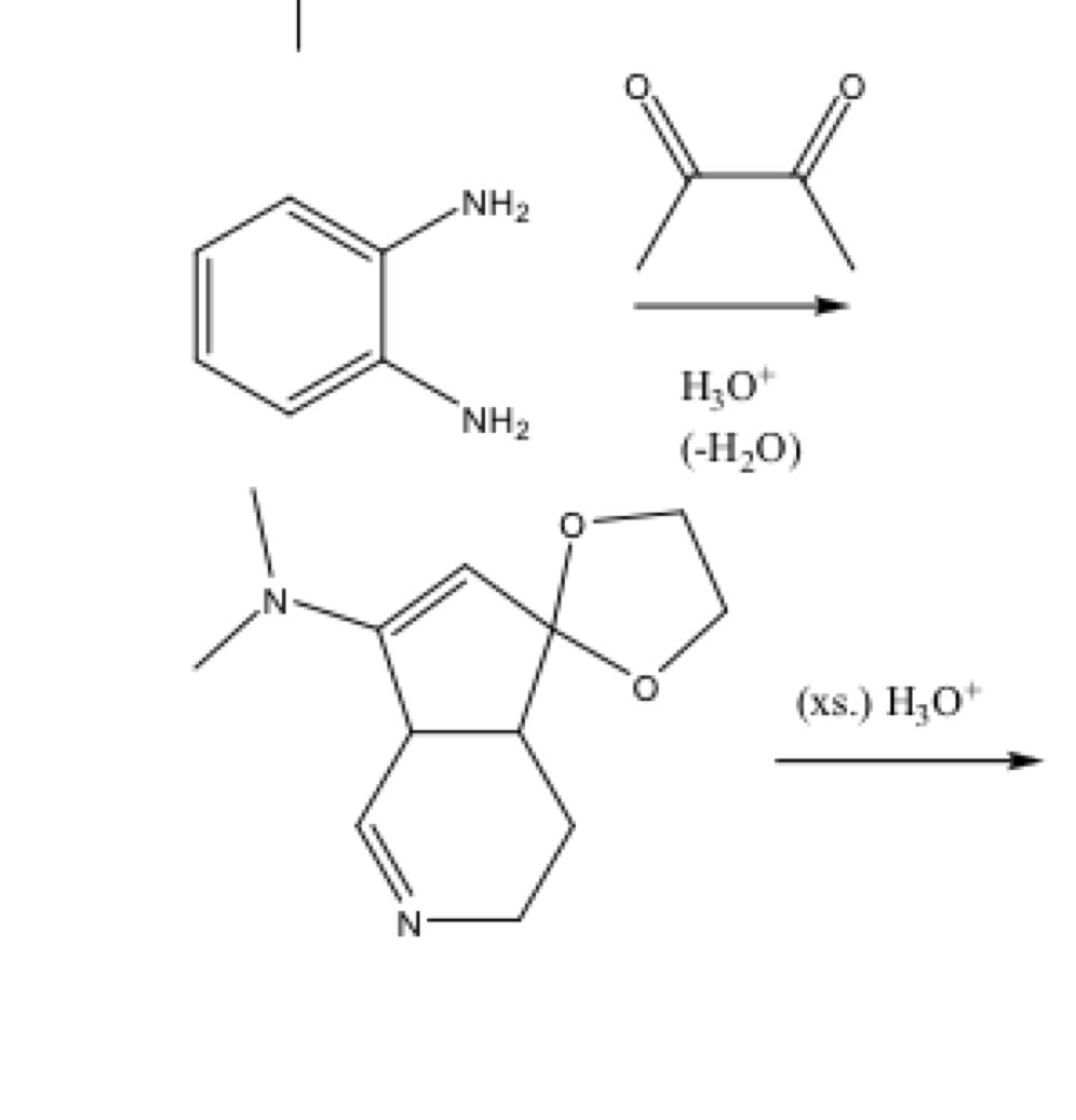 Solved H2O NH2 (OH-) (XS.) H20 | Chegg.com