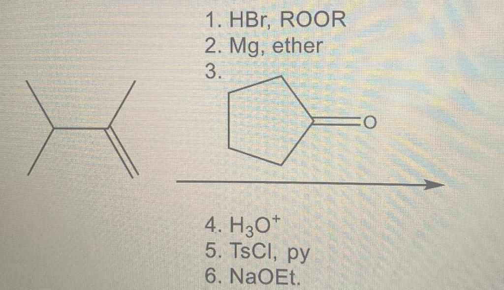 Solved 1. HBr, ROOR 2. Mg, ether 3. 4. H3O* 5. TsCl, py 6. | Chegg.com