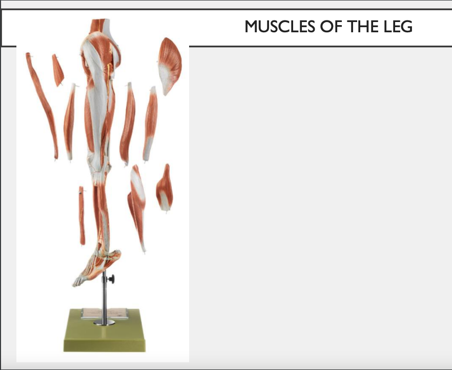 Solved Please label the following 3 images with all the | Chegg.com