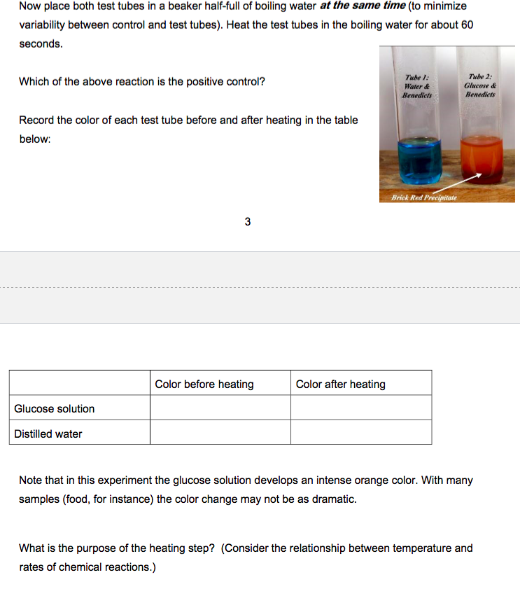 Solved Now place both test tubes in a beaker half-full of | Chegg.com