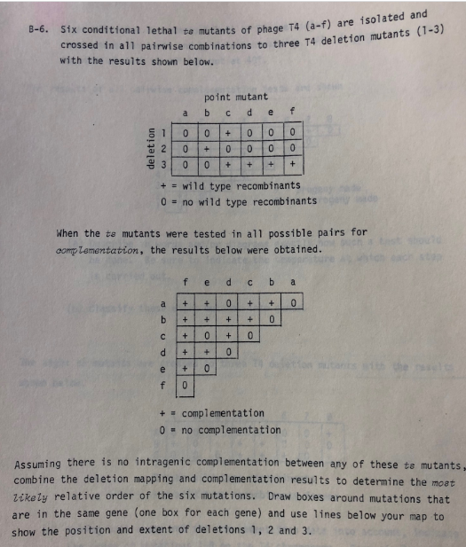 Solved B-6. Six conditional lethal te mutants of phage T4 ( | Chegg.com