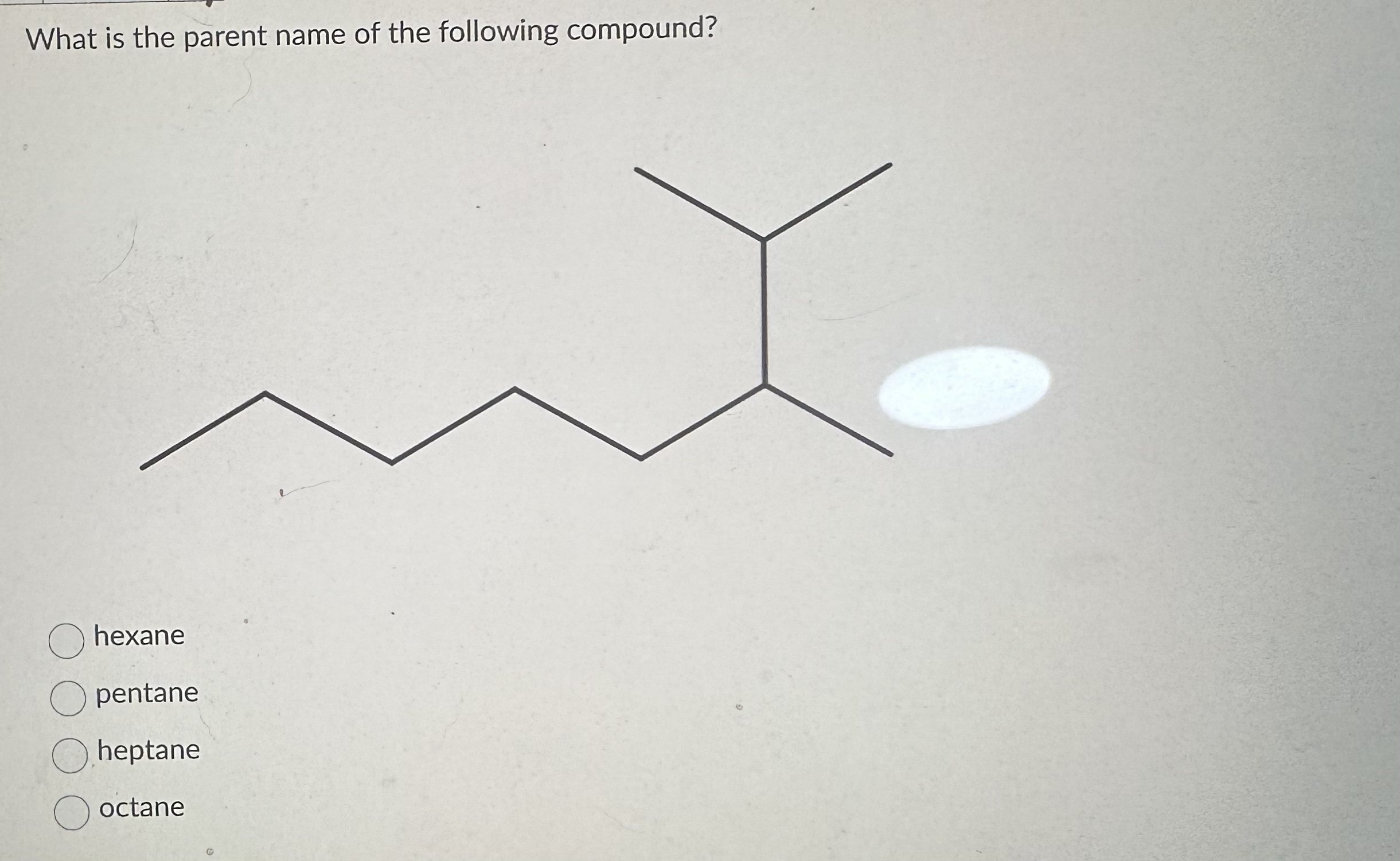Solved What is the parent name of the following compound? | Chegg.com