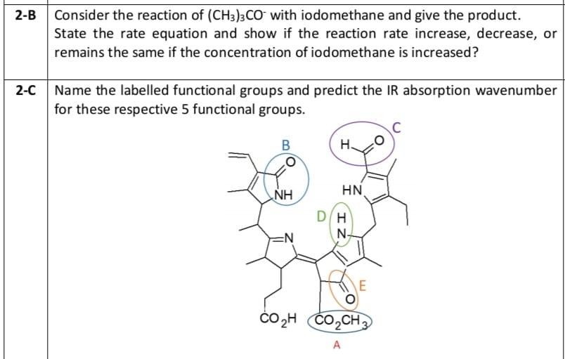 Solved 2-B Consider the reaction of (CH3)3CO with | Chegg.com