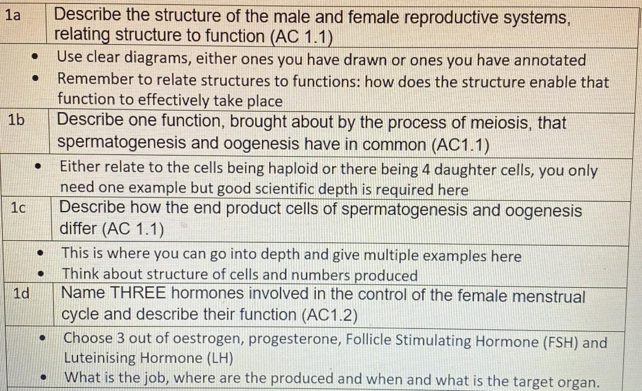Reproductive System Function