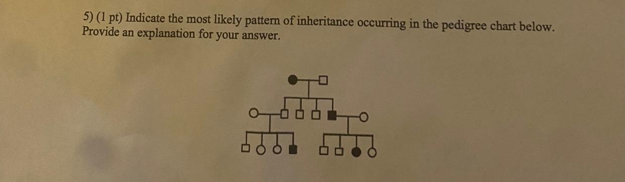 Solved 5) (1 pt) Indicate the most likely pattern of | Chegg.com