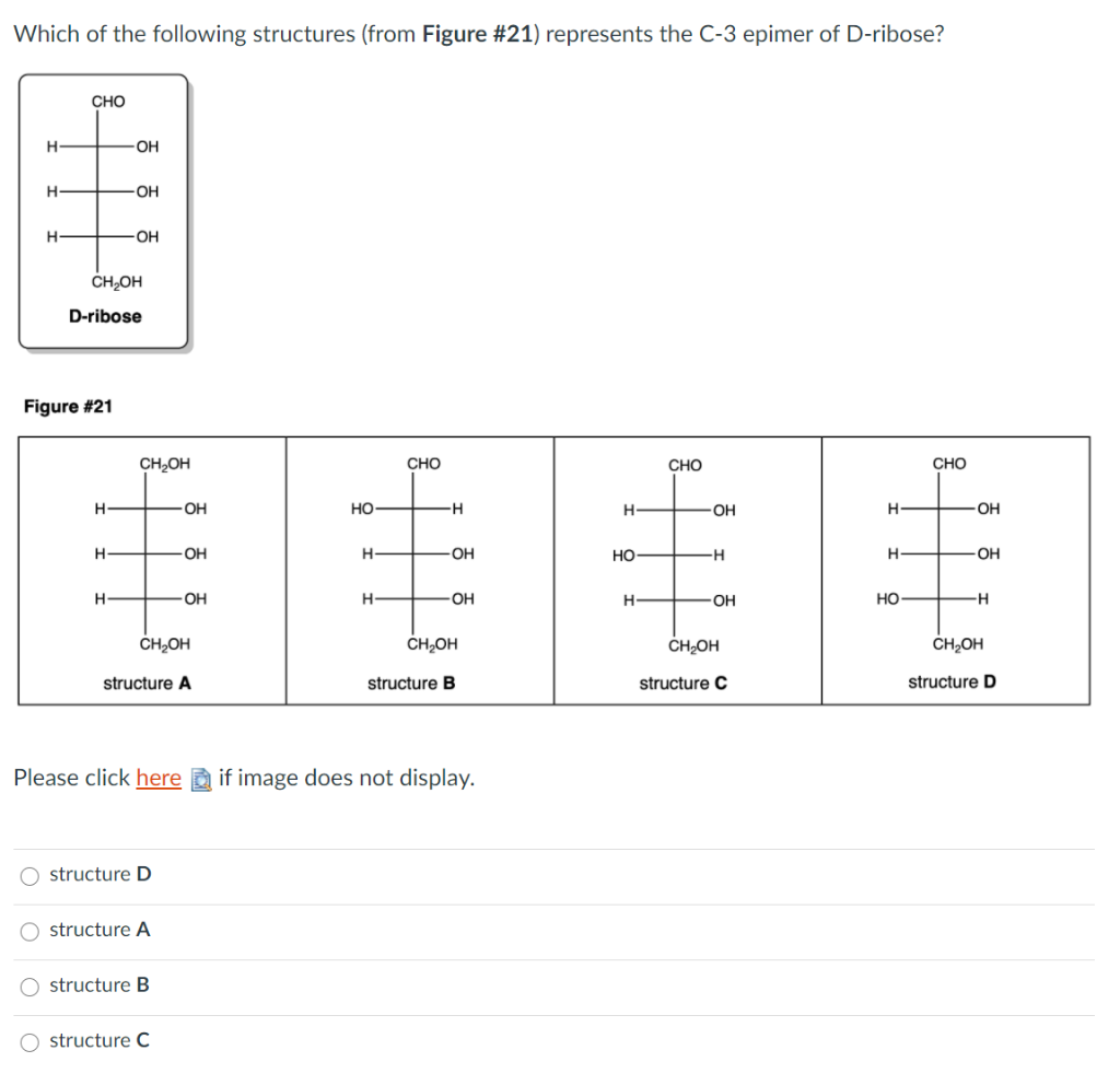 Solved What major product (from Figure #19) results from the | Chegg.com